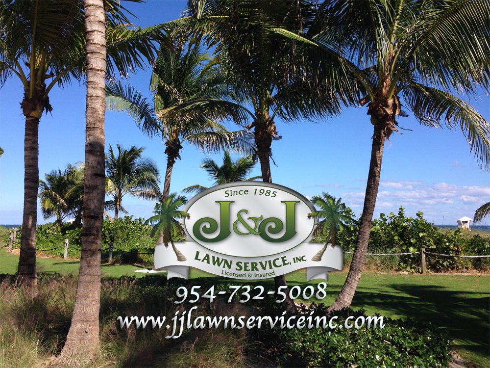 Home [jjlawnserviceinc.com]